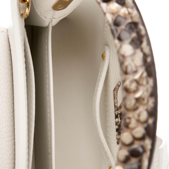 Louis Vuitton | Bags | Louis Vuitton 220 Water Snake A Trimmer Mini ...